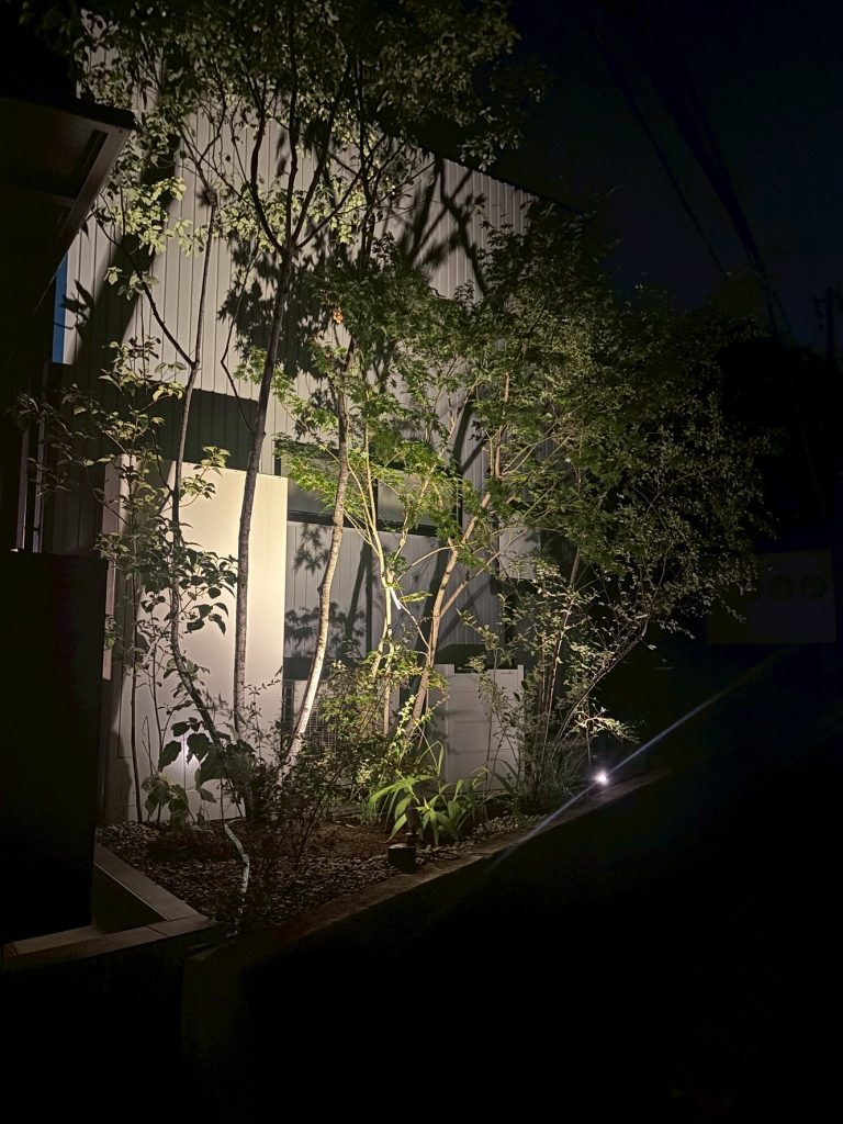 夜の植栽ライトアップでおうち時間に癒しをプラス🍃 | Warack株式会社