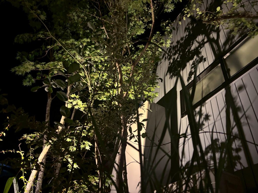 夜の植栽ライトアップでおうち時間に癒しをプラス🍃 | Warack株式会社
